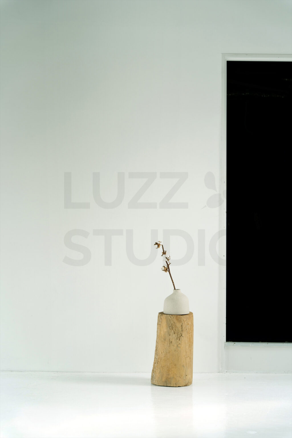 大阪市中央区｜撮影スタジオ「LUZZ STUDIO」